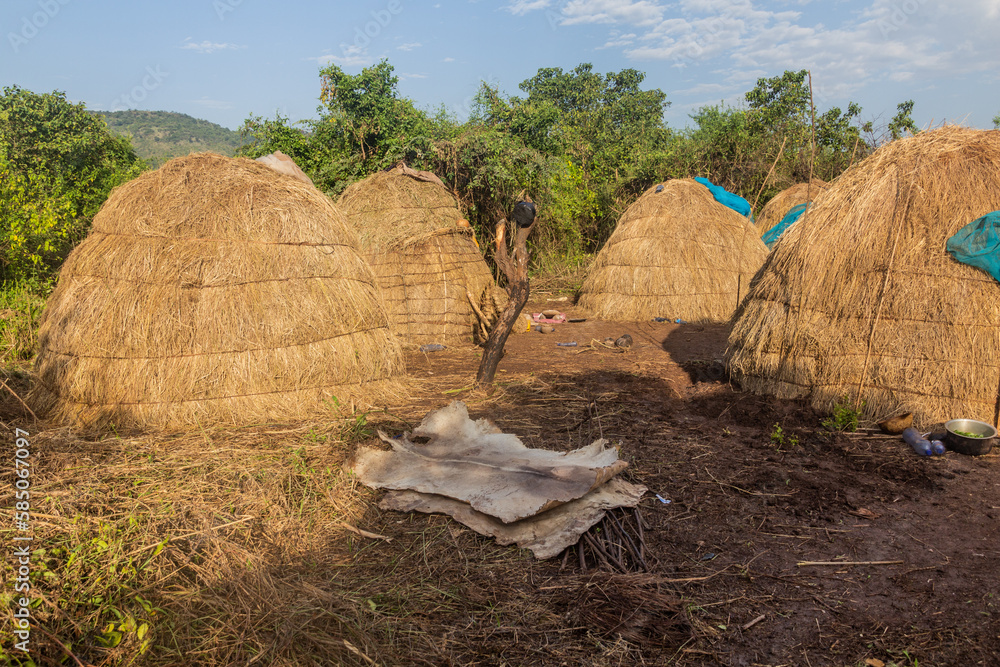 Huts of Mursi tribe village, Ethiopia Stock Photo | Adobe Stock