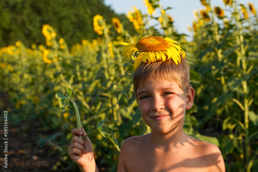 A boy with a sunflower on his head. Comic pose with a sunflower. The ...