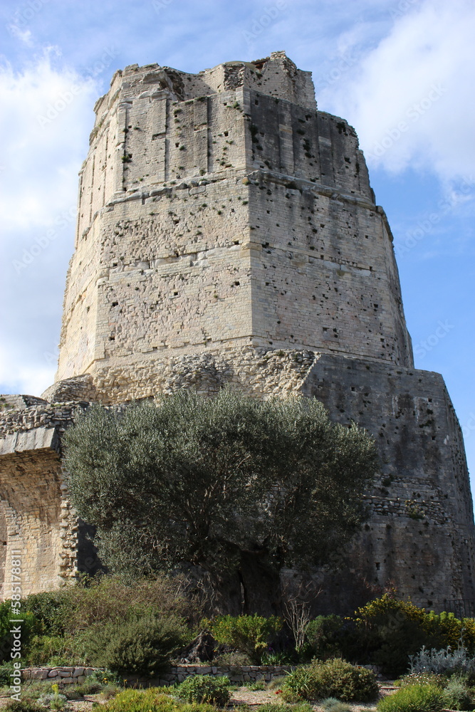 The Magne Tower, with ancient olive tree in front - Les Jardins de la ...