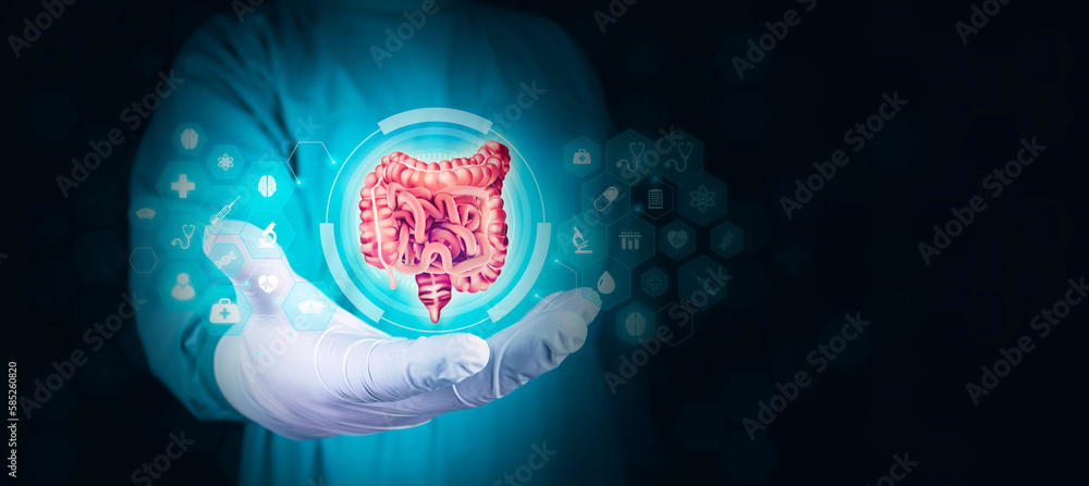 Large and small intestine. Colon cancer, bacteria, inflammation ...