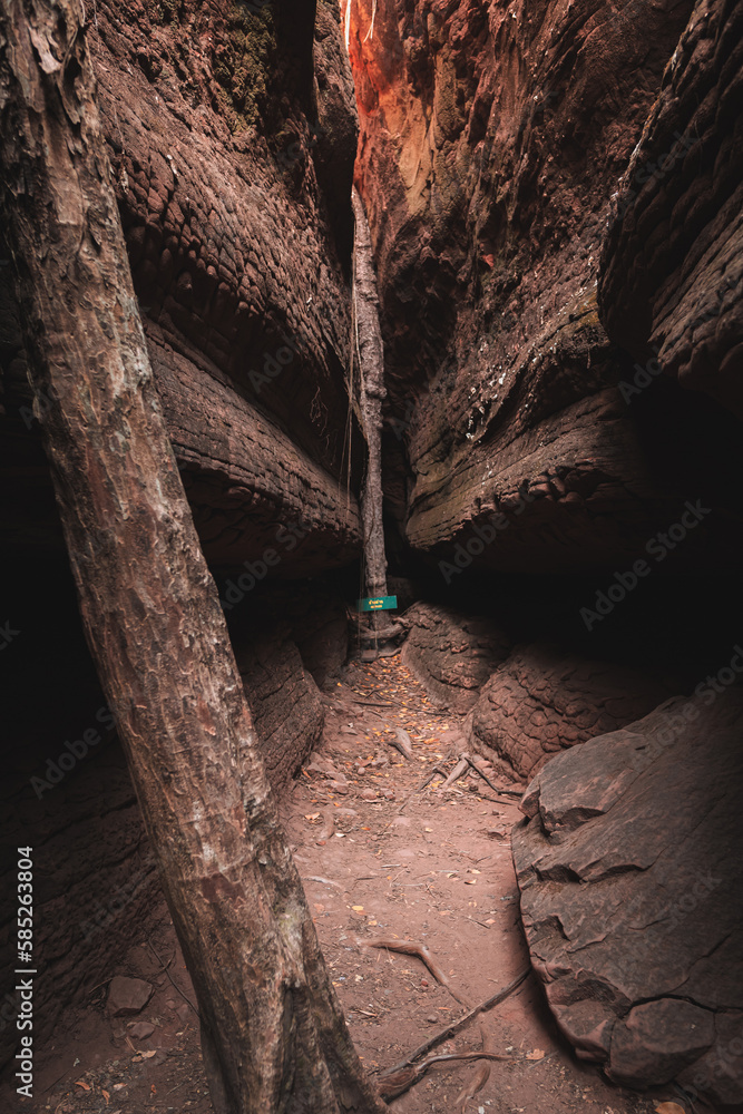 Naka cave giant snake scale stone. in the Phu Langka national park ...