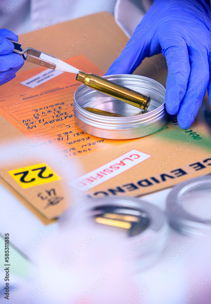 Criminalistic Laboratory, Scientific police officer holds bullet tips ...
