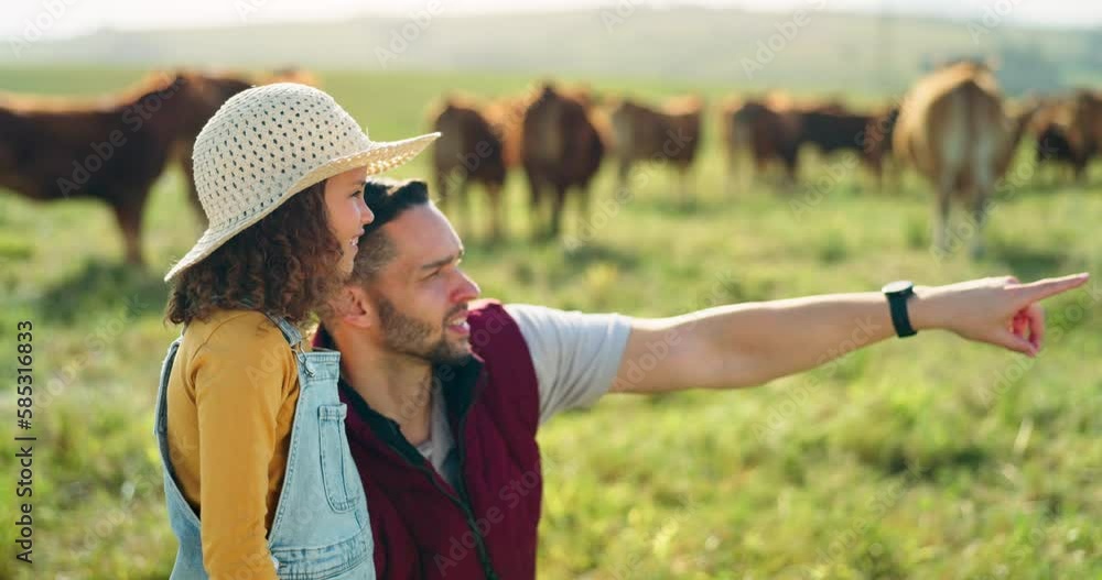 Father and daughter bonding on a cattle farm, talking and having fun ...