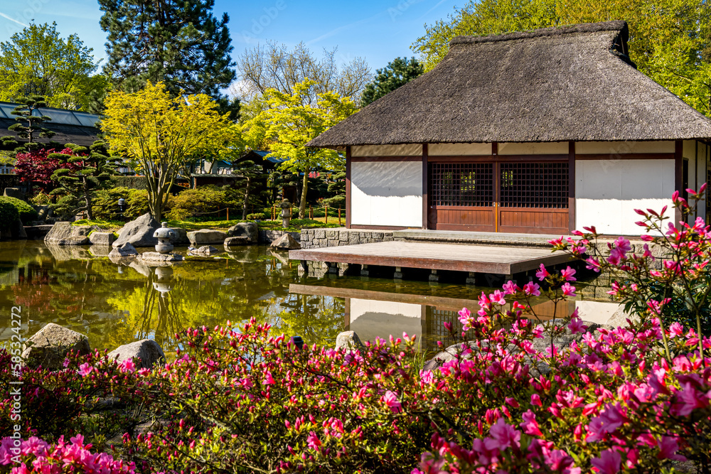 Thatched roof Japanese Tea House at a calm pond in Planten un Blomen ...