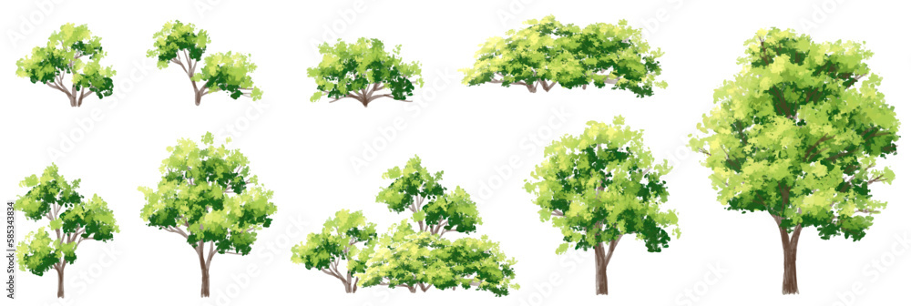 Vector watercolor of tree side view isolated on white background for ...