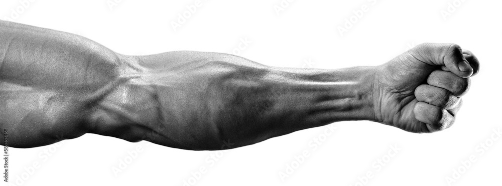 Muscular arm. Black and White Isolated PNG photo of a man's muscular ...