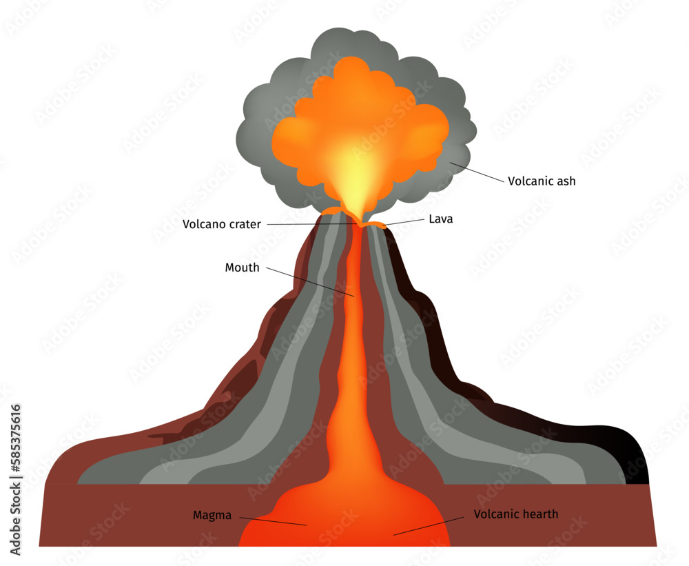 Vector illustration of Infographic volcano eruption, flat cartoon ...