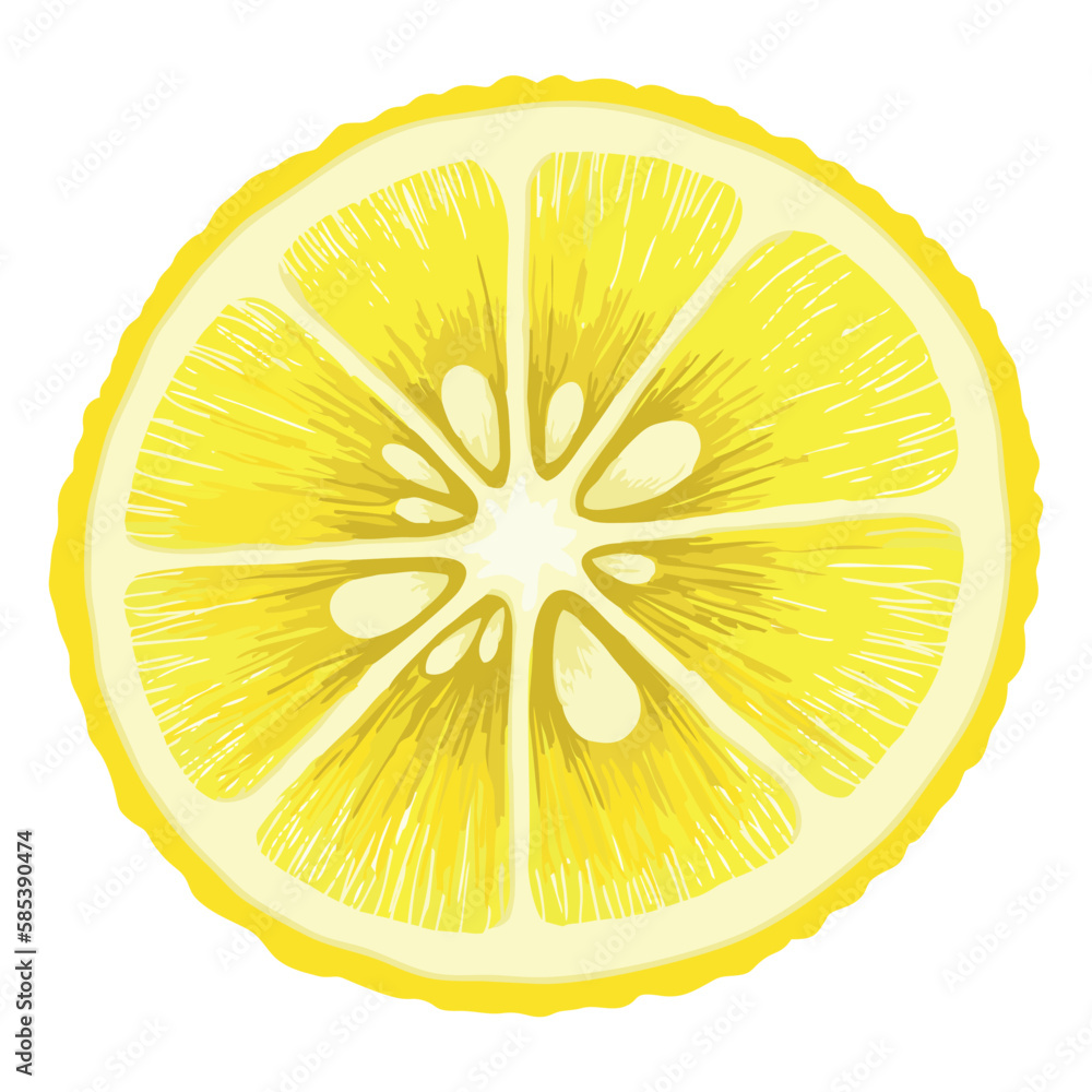 Vecteur Stock Soczysta kwaśna cytryna. Plasterek dojrzałej, surowej ...