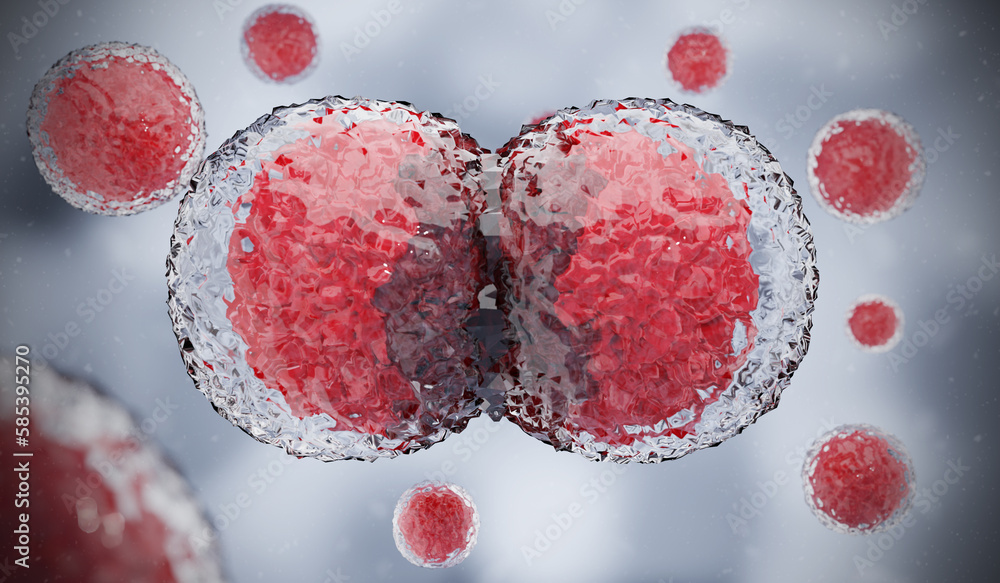 Close-up of a cell division and reproduction through a microscope view ...