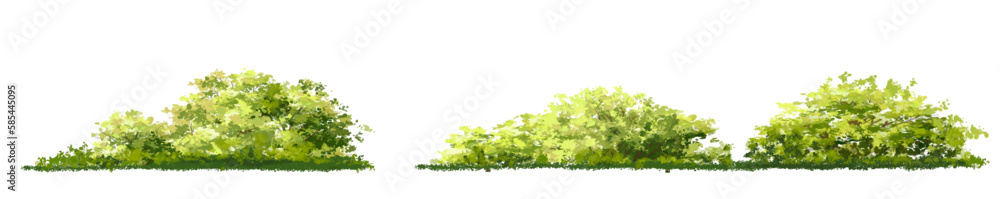 Vector watercolor of grass side view isolated on white background for ...