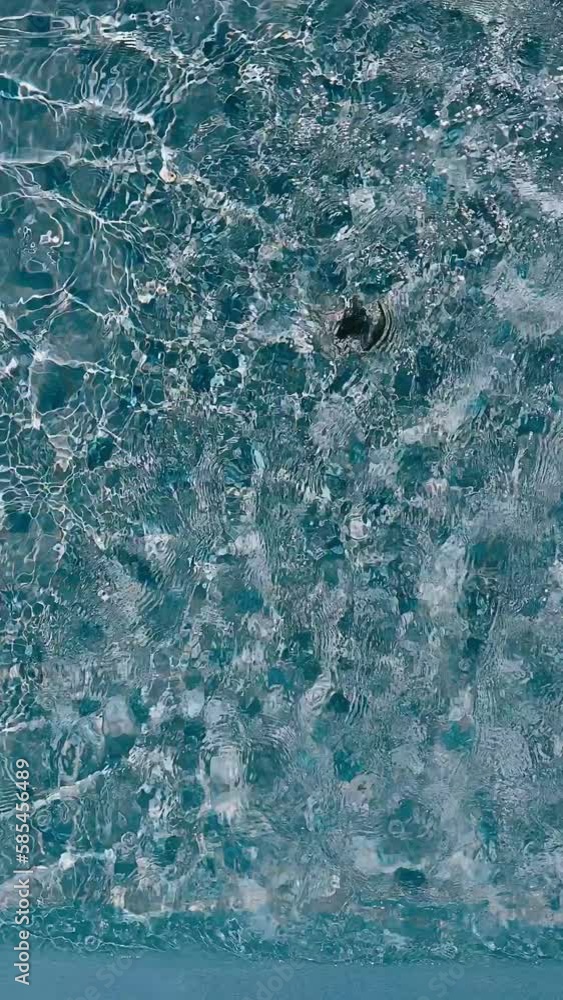 blue water surface, pool water,water, blue, texture, abstract, pool, sea, surface, clear, wave ...