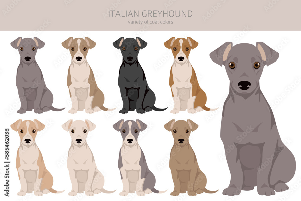 Greyhound Clipart