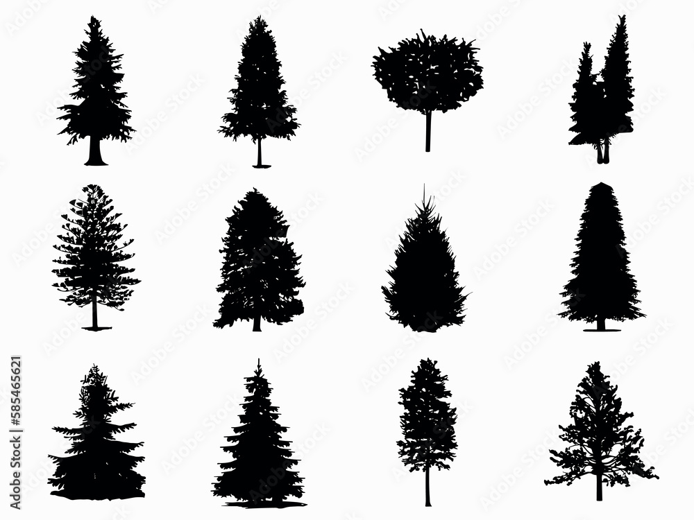 spruce tree vector silhouette .forest tree clipart illustration Stock ...