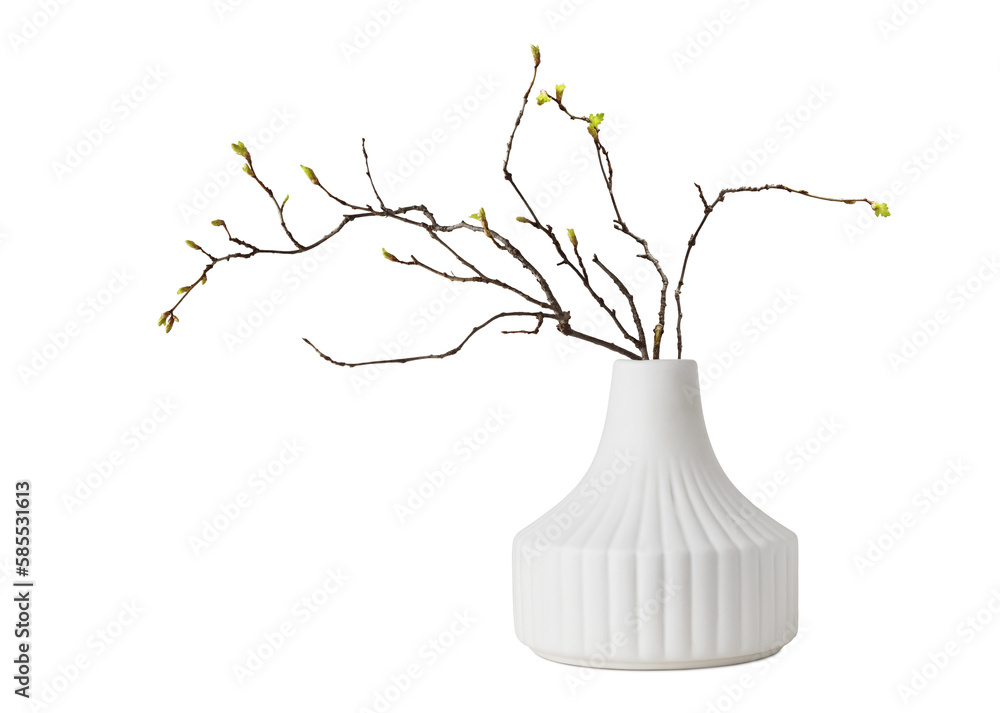 Ceramic vase and spring twigs with young green leaves isolated on white ...