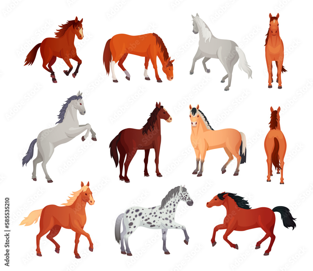 Vetor de Horse poses. Wild horses walking or gallop running pose ...
