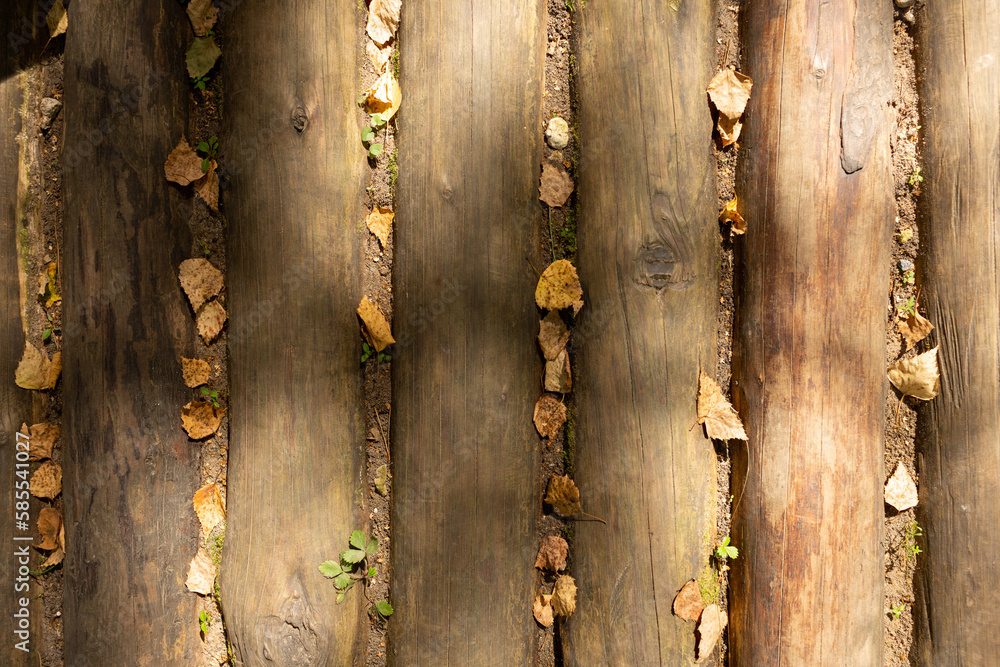 The background image is a track made of logs Stock Photo | Adobe Stock