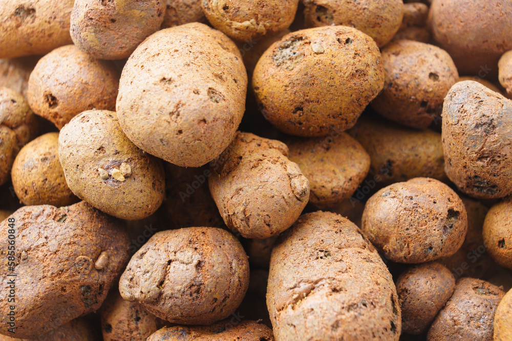 Expanded clay. small lumps of clay used in construction and for growing ...