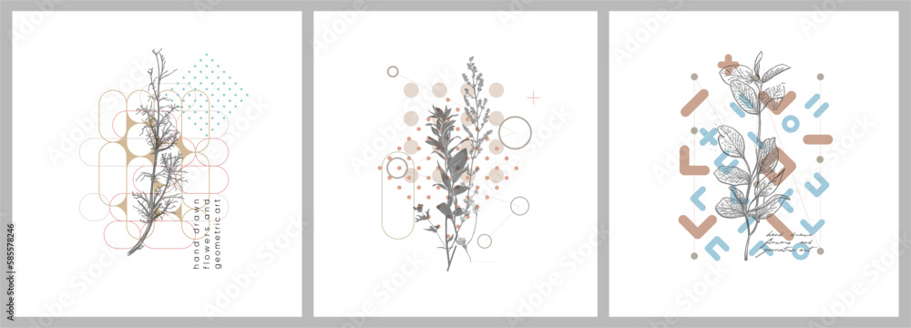 Foliage line art drawing with geometric shape. Hand drawn flowers and ...