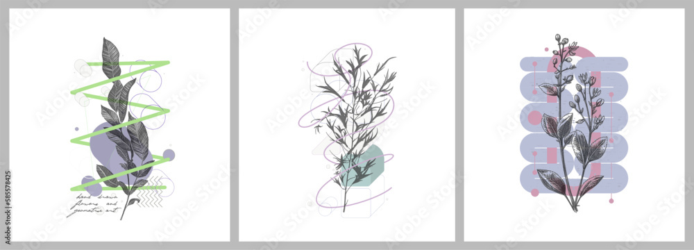 Foliage line art drawing with geometric shape. Hand drawn flowers and ...