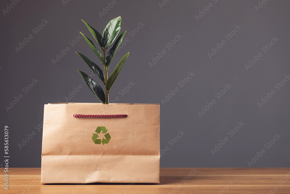 Save world, Save tree and concept for plant the tree, Young green tree ...