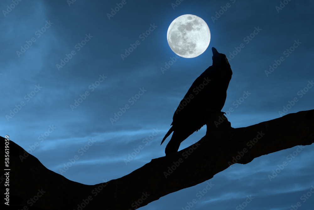 silhouette of a crow standing on a tree branch at night in a full moon ...