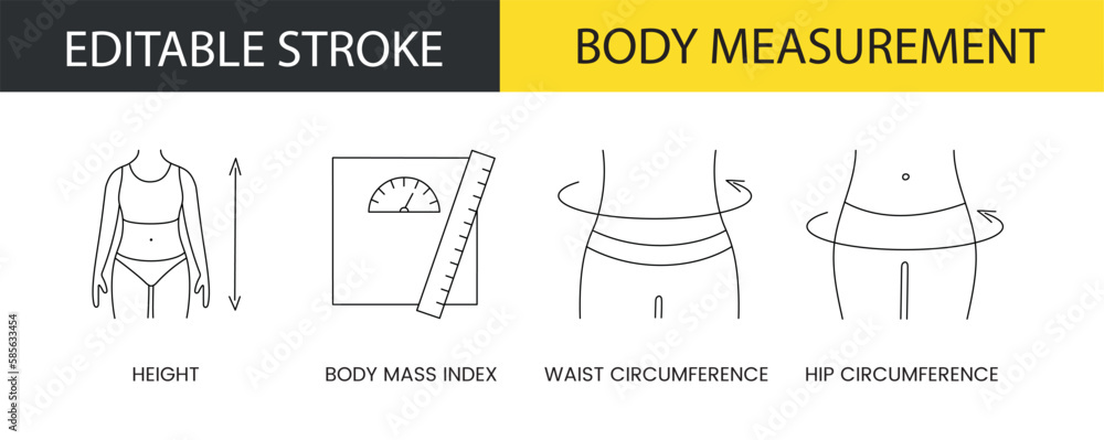 Body measurement line icon set in vector, illustration of height and body mass index, waist and ...