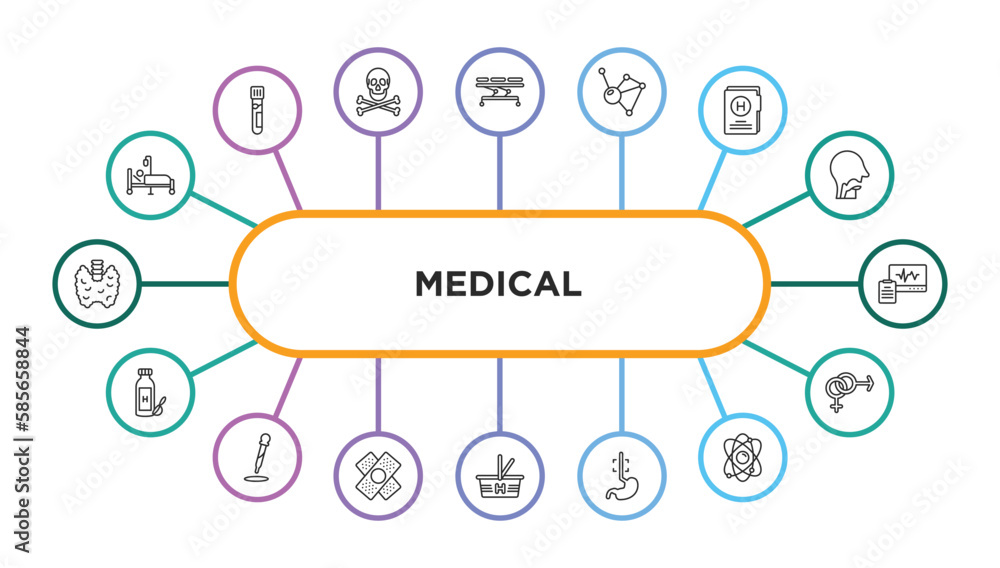 medical outline icons with infographic template. thin line icons such ...