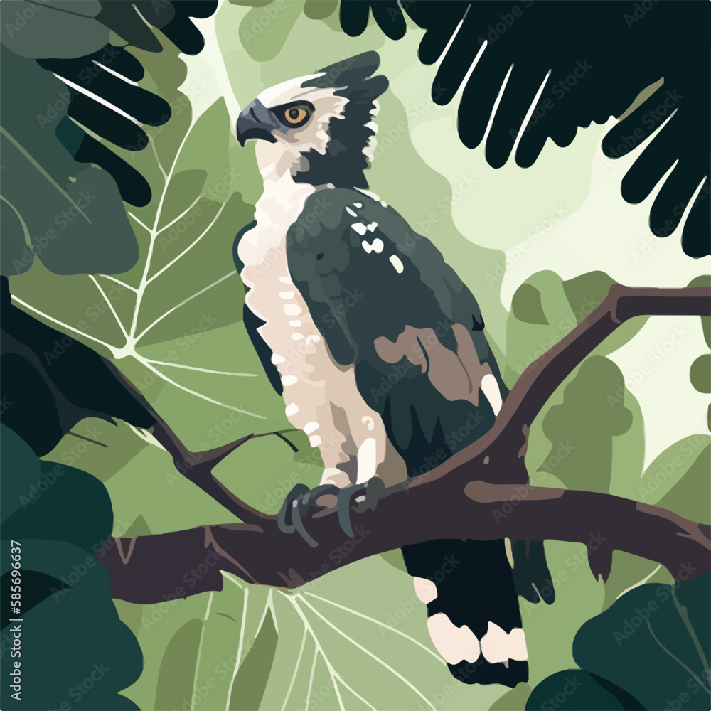 Harpy eagle perched high in the rainforest canopy. Tropical rainforest ...