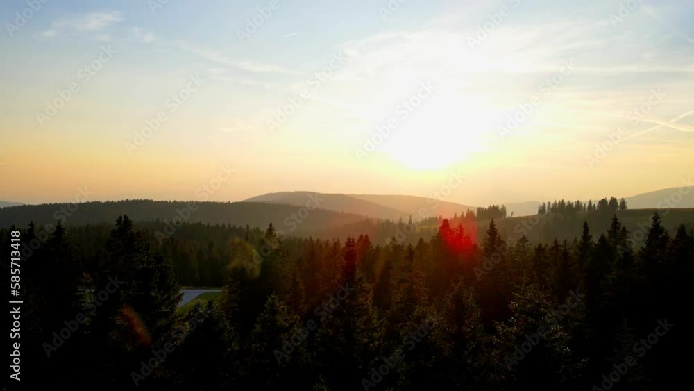 Aerial 4K footage of Rogla's forests showcases the lush landscape with ...