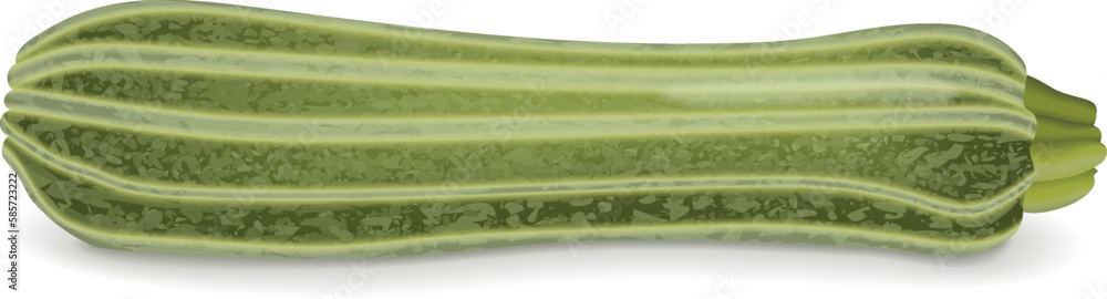 Costata Romanesco squash or Ribbed Roman. Cocozzelle. Courgette or ...