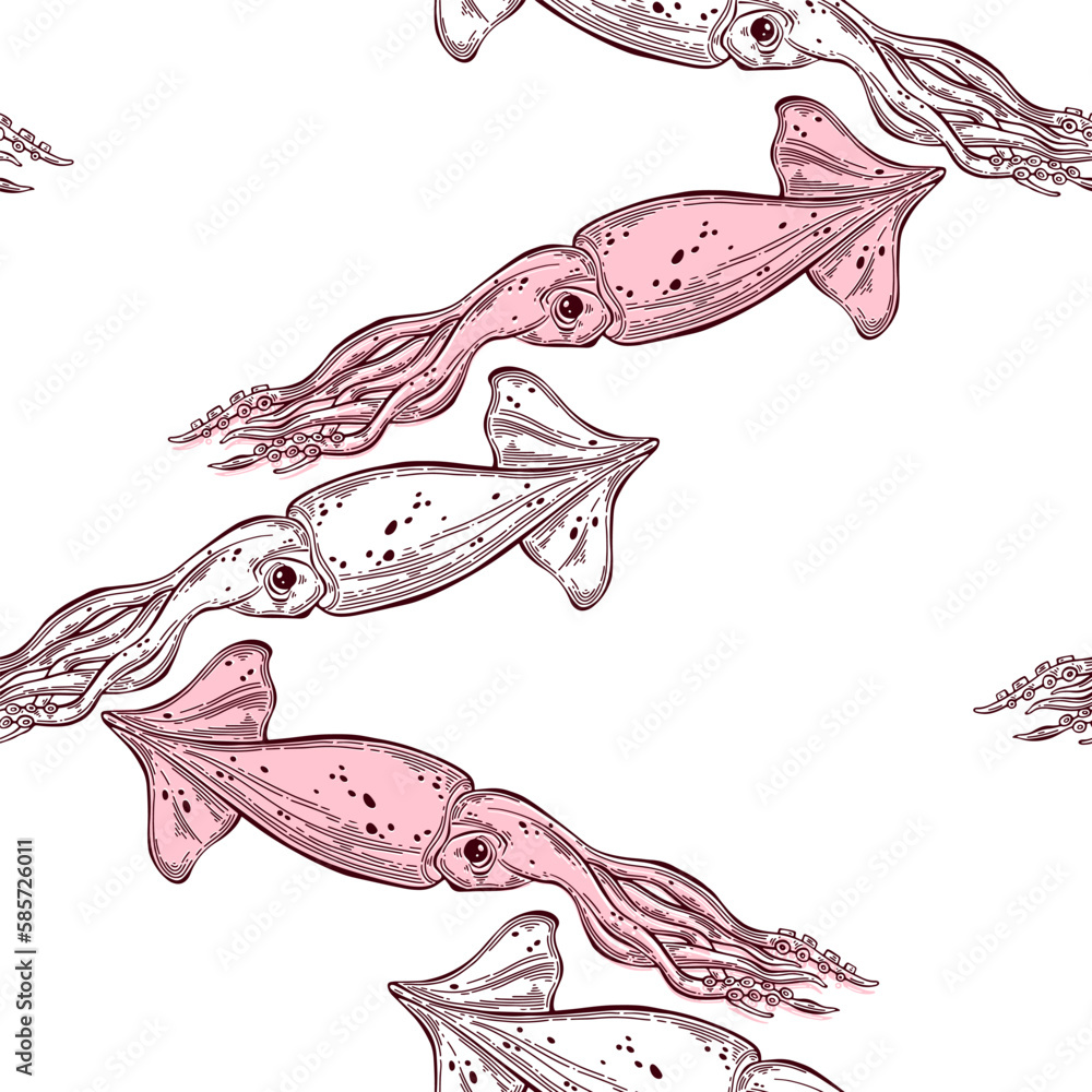 Seamless pattern with squids on white background. Hand drawn vector ...