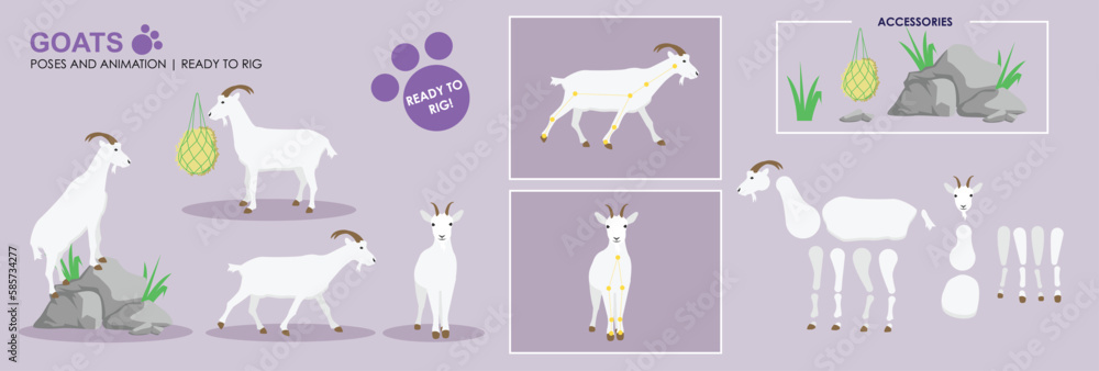 Goat vector ready to rig for animation. White mountain goat collection ...