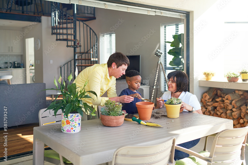 Lesbian couple and son planting plants in flowerpots on patio Stock ...
