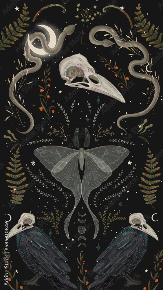 magical forest elements. images of a snake, night moth, fly agaric ...