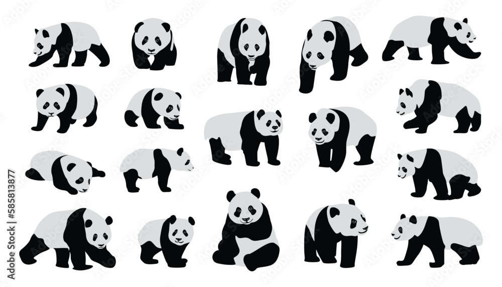 cute panda Vector illustration isolated on colorful Set of cute big ...