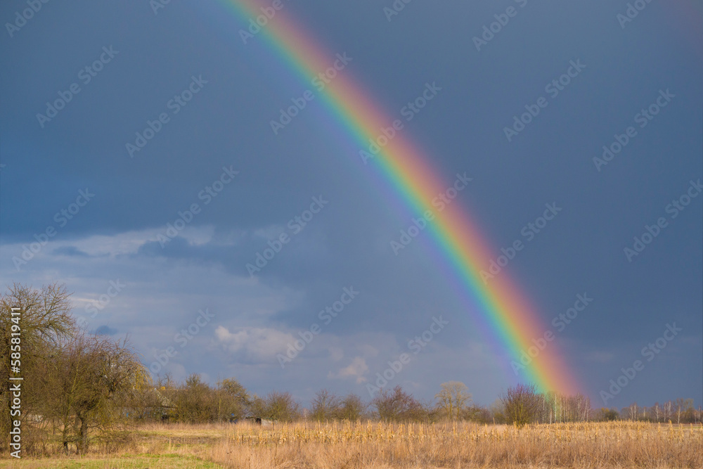 TThe rainbow is a beautiful natural phenomenon. A rainbow is formed as ...