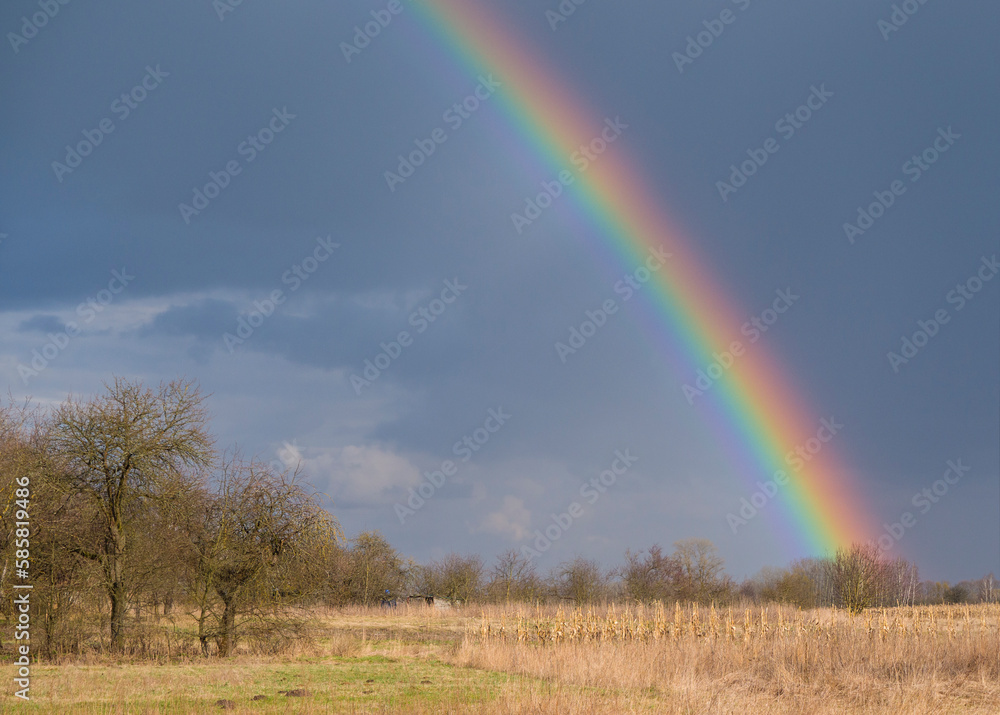 TThe rainbow is a beautiful natural phenomenon. A rainbow is formed as ...