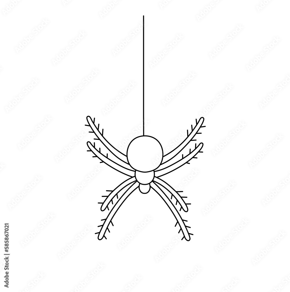Vector isolated one single spider colorless black and white contour ...