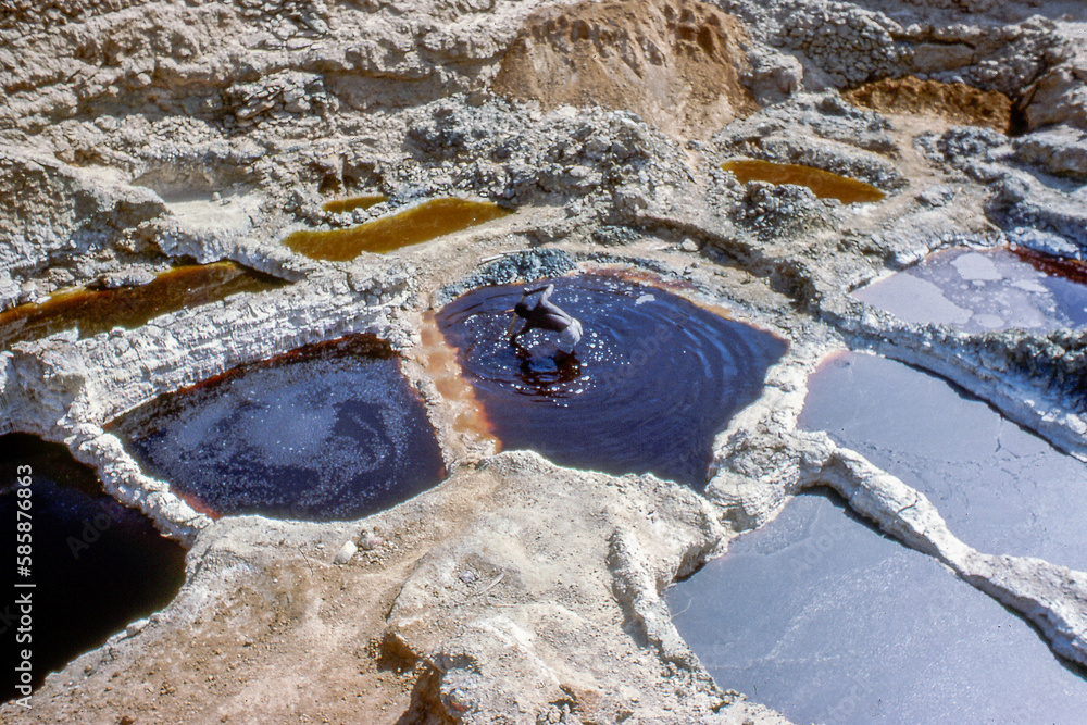 Foto de homme travaillant dans une saline à Bilma au Niger en 1976 do ...