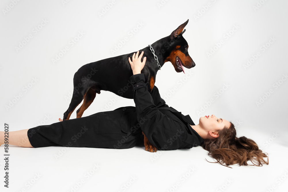 A young beautiful Doberman with a chain around his neck and his owner ...