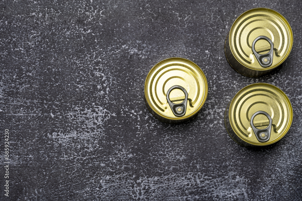 A can is a metal container used as an opaque container for liquids and ...