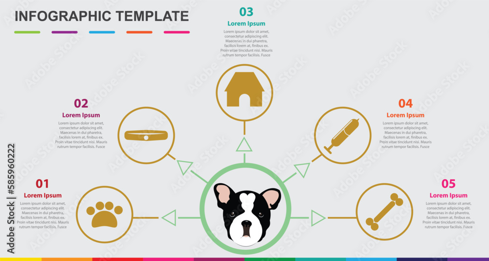 Infographic template for pet. five steps Mindmap diagram, presentation ...