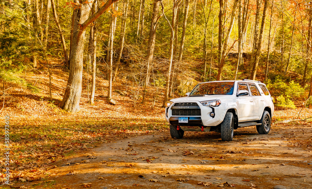 Toyota 4Runner TRD Pro SUV off road on dirt trail Stock Photo | Adobe Stock