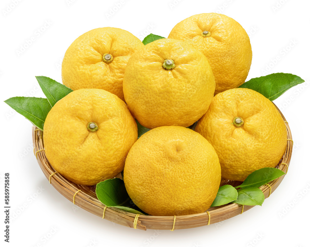 Sweet Yuzu Orange fruit in wooden basket isolated on white background ...