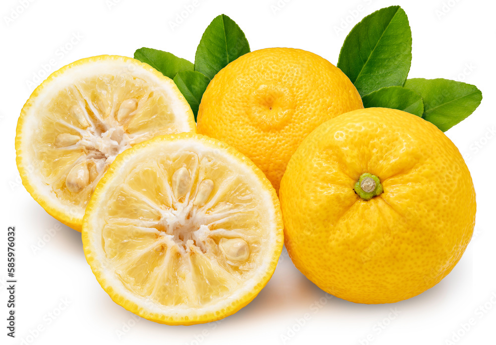 Sweet Yuzu Orange fruit isolated on white background, Kochi Yellow Yuzu ...