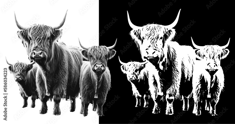 Highland Cow Greyscale and Linear Stock Vector | Adobe Stock