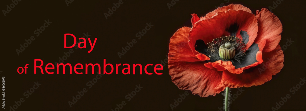 Red poppy symbol emblem and text Remembrance Day. Red poppy flowers ...