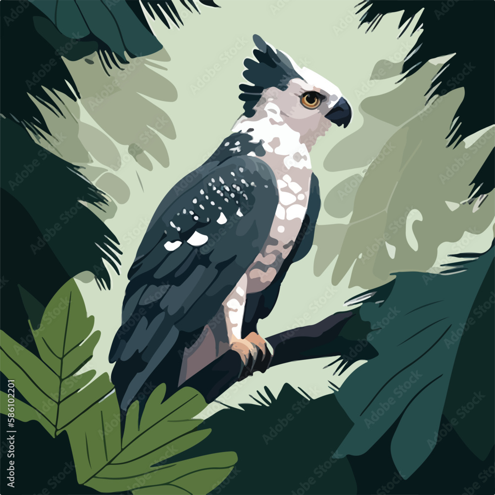 Harpy eagle perched high in the rainforest canopy. Tropical rainforest ...