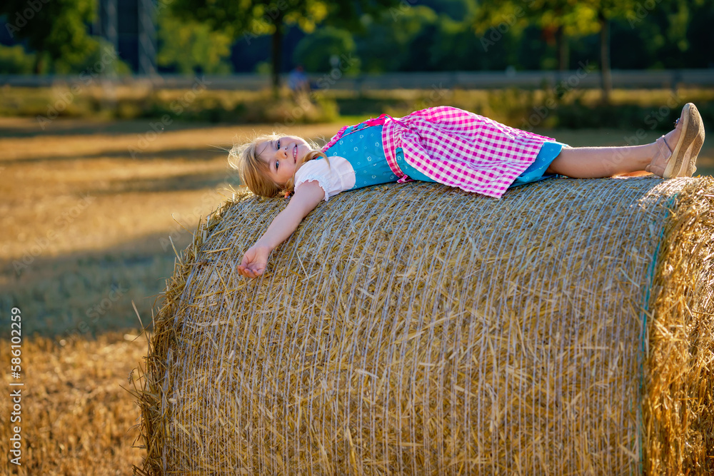 Cute little kid girl in traditional Bavarian costume in wheat field ...
