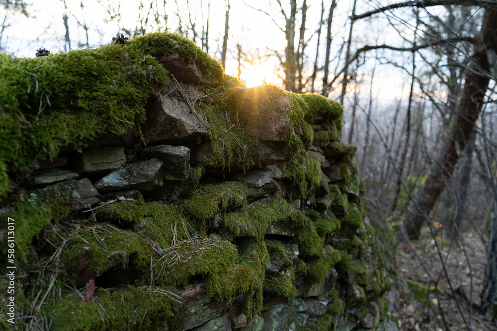 Muret en pierre recouvert de mousse. Vieux mur en pierre qui se fait ...